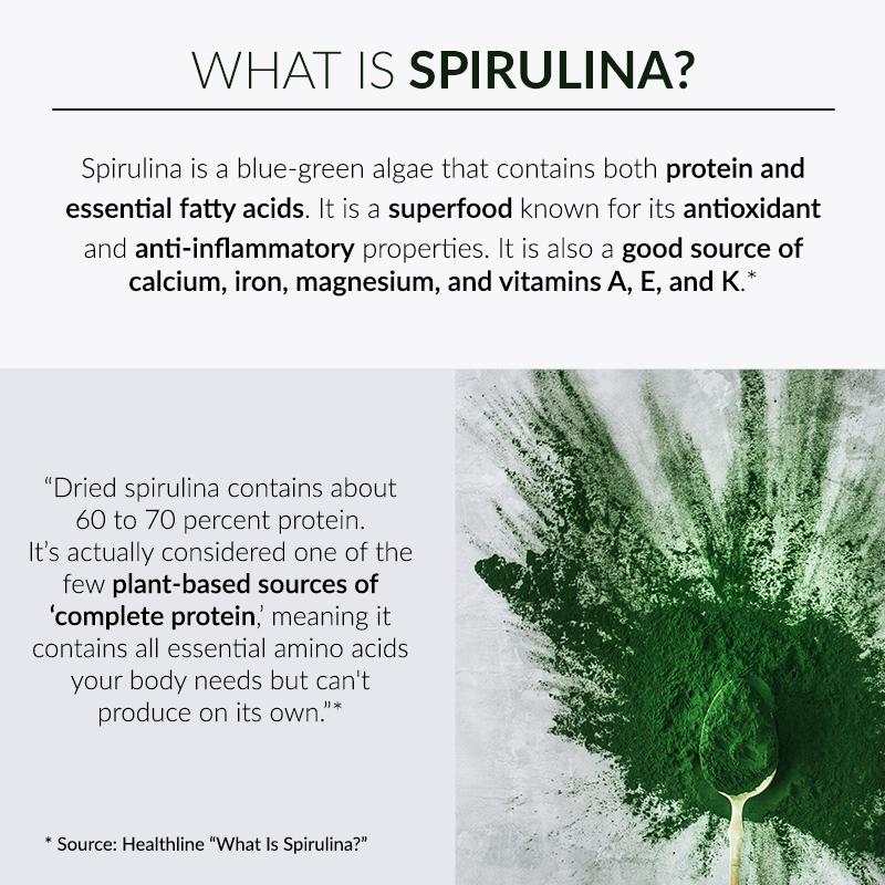 spirulina algae protein
